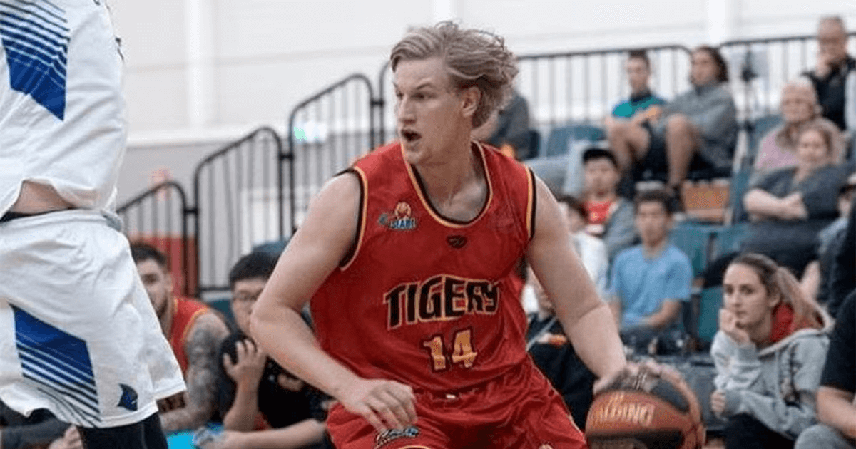 Tom Wilson returns to the Tigers! | Melbourne Tigers