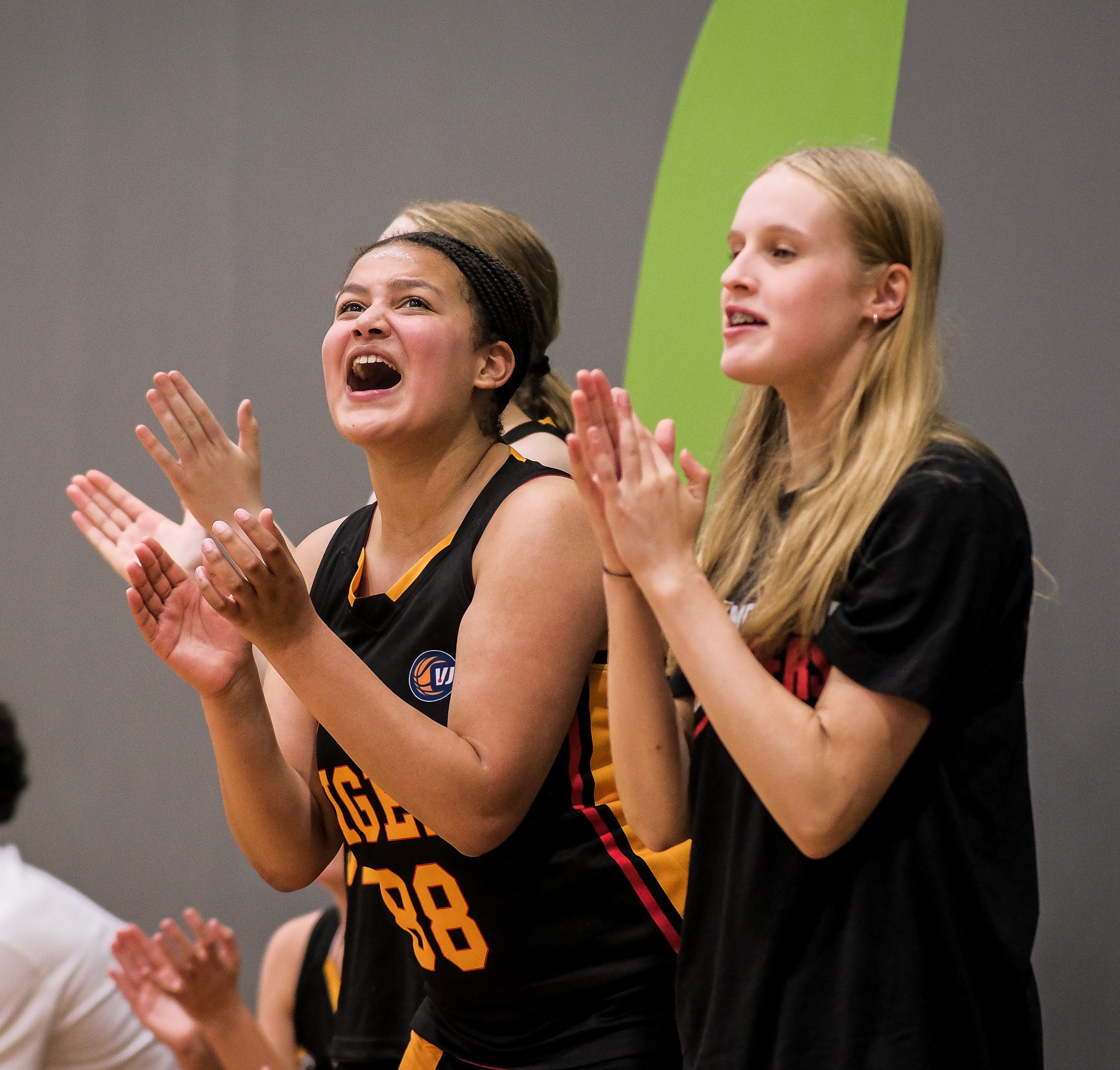 Fixtures / Ladders / Results | Melbourne Tigers